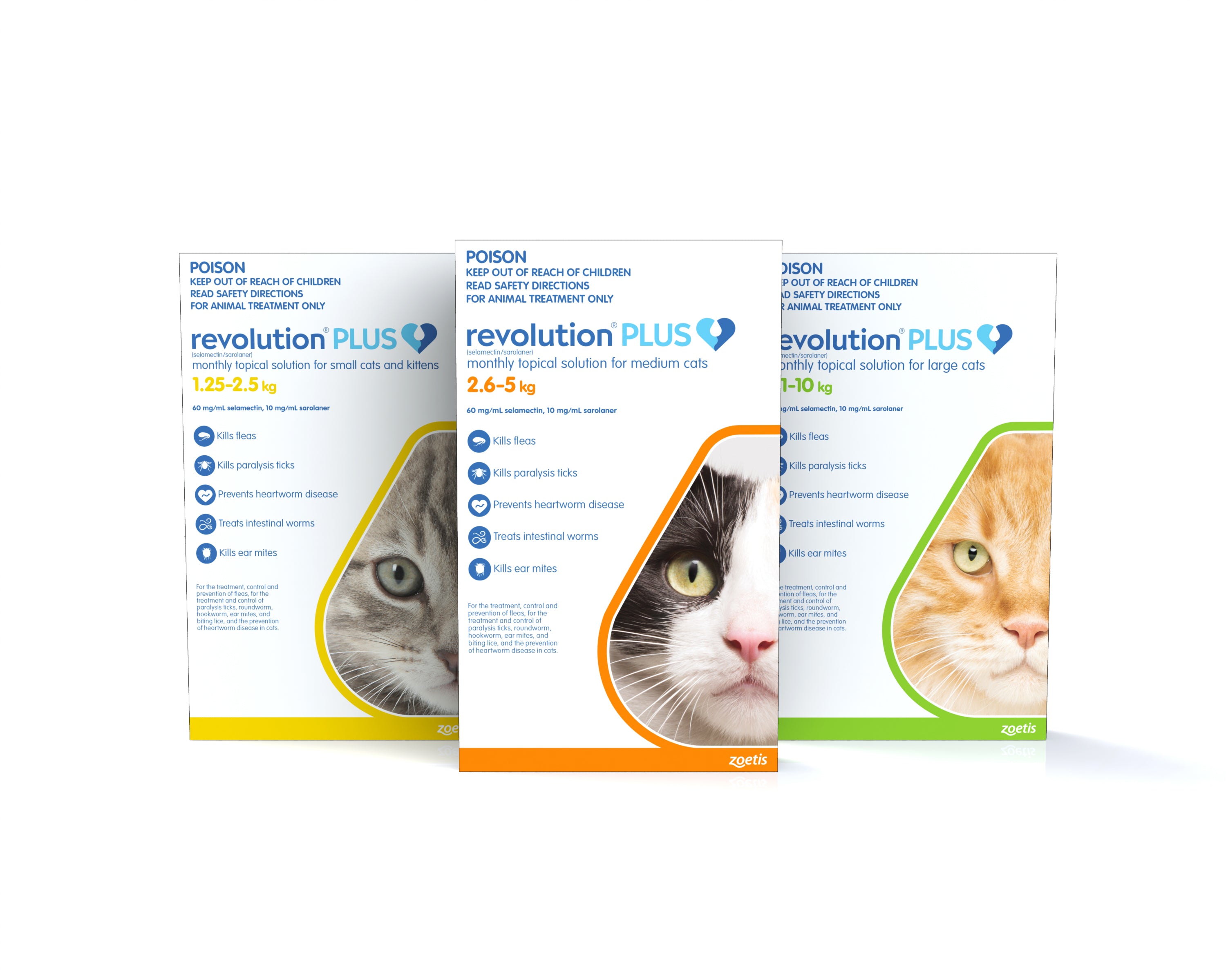 Revolution Plus for Cats and Kittens