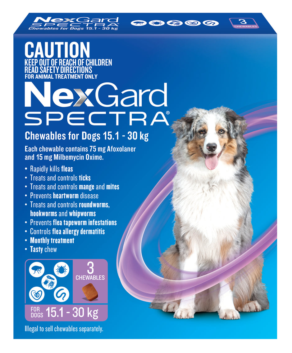 Nexgard Spectra For Dogs: The All-in-One Treatment – Smartway Pet Supplies